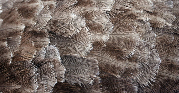 How to Make a Feather Ball Centerpiece