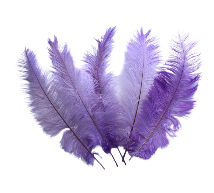 Buy Ostrich Feathers & Feather Centerpieces Online