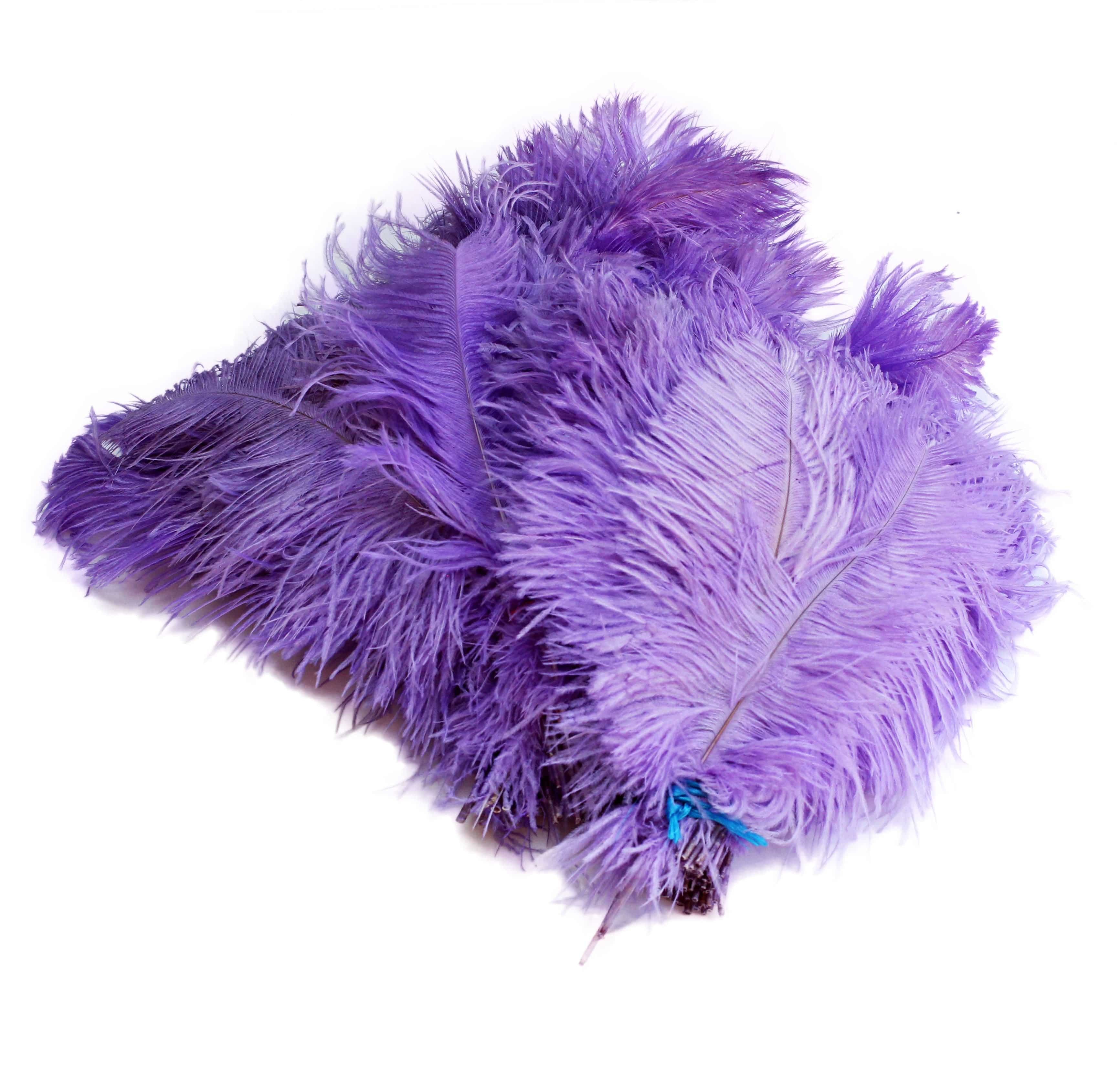 Discount bulk ostrich feathers store