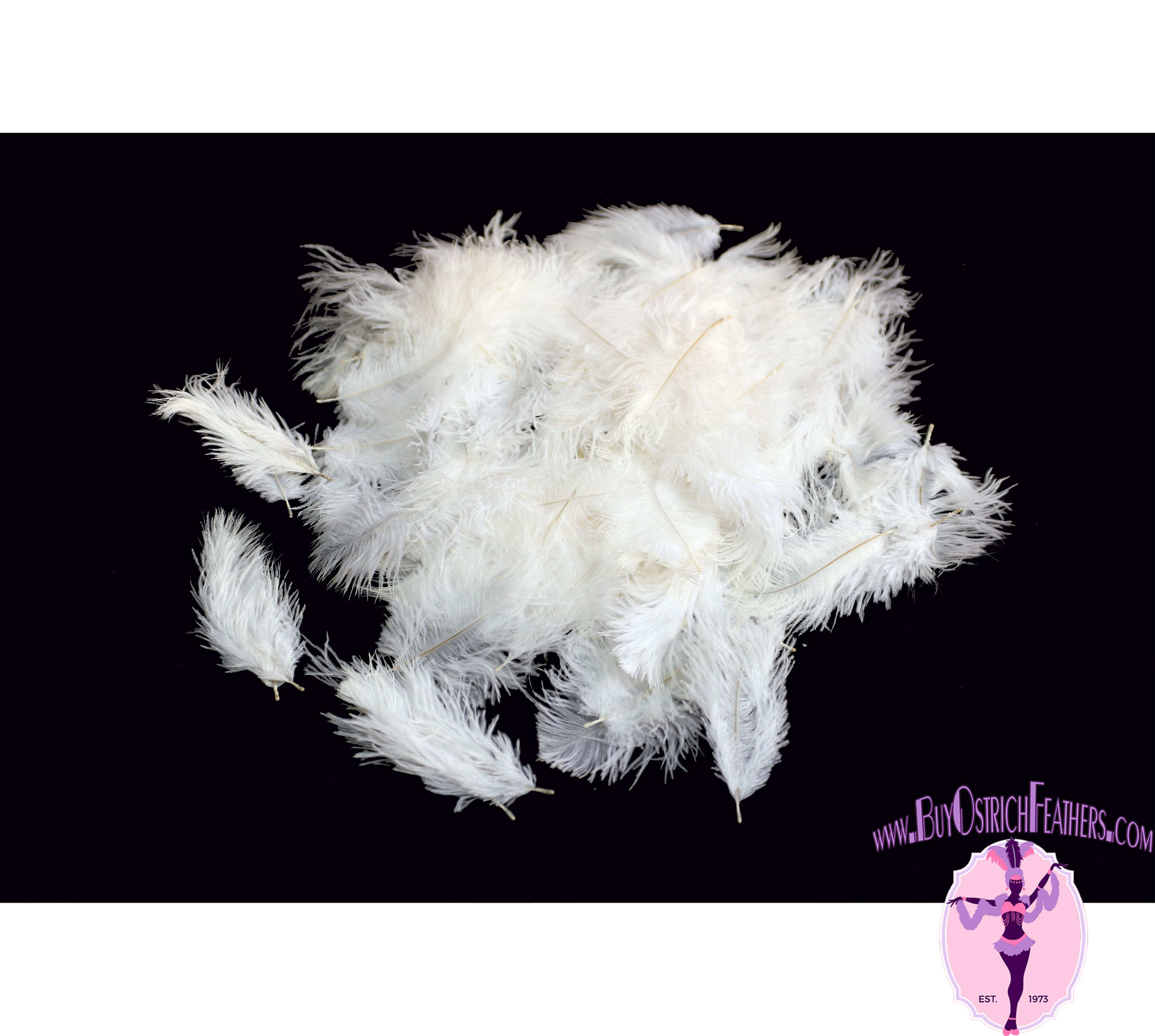 Confetti Craft Ostrich Feathers White for Sale Online